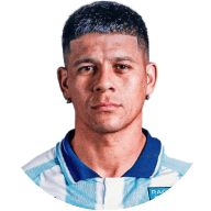 marcos rojo   stats